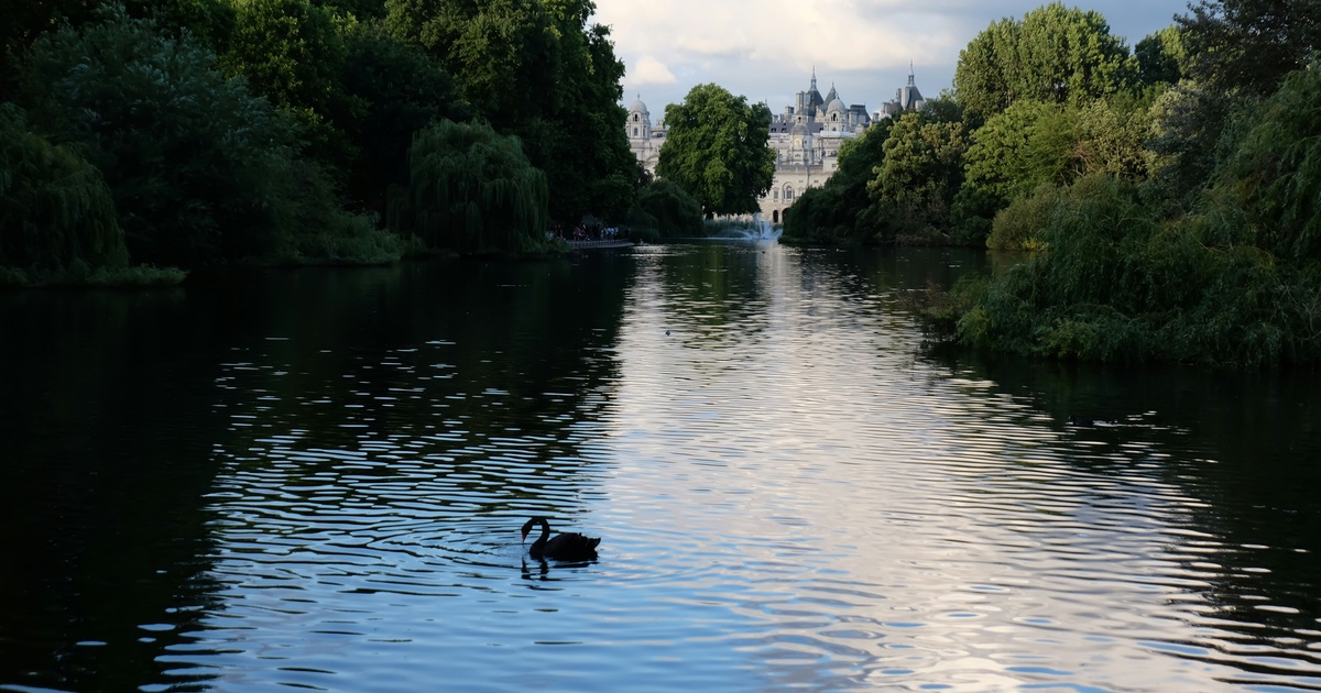 Gallery Artist Halima Cassell is shortlisted for the national memorial ...