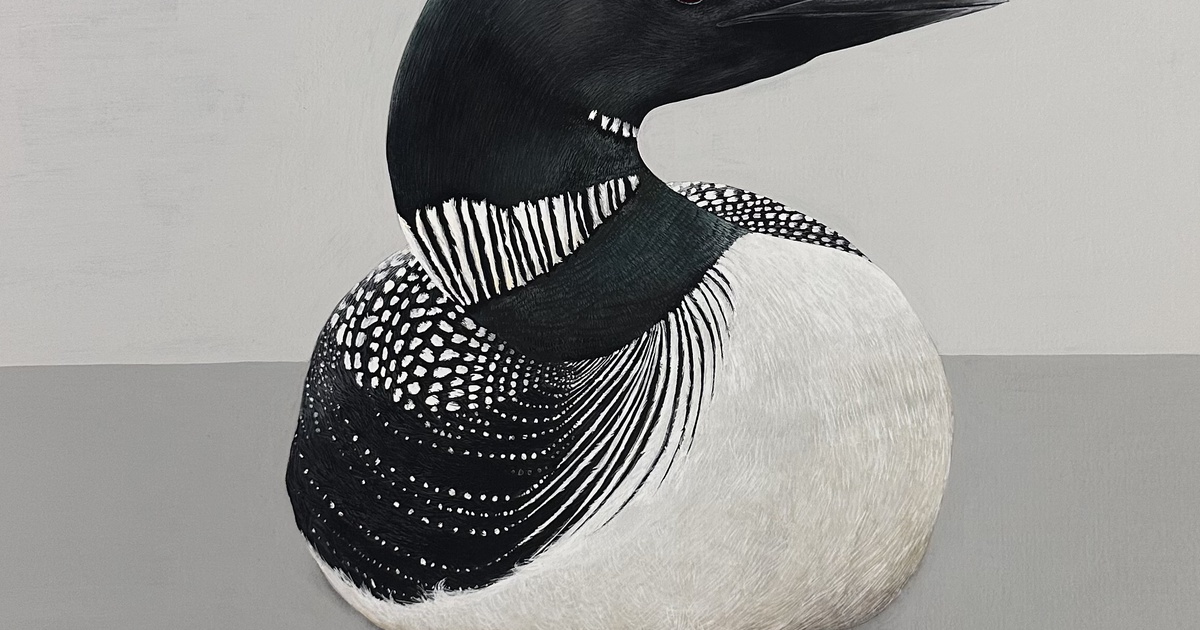 Jacob Gourley - Exhibitions | Soden Collection